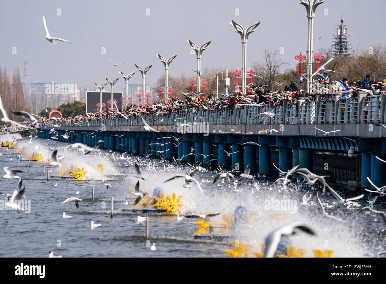 Beijing, China's Yunnan Province. 15th Feb, 2024. People watch black ...