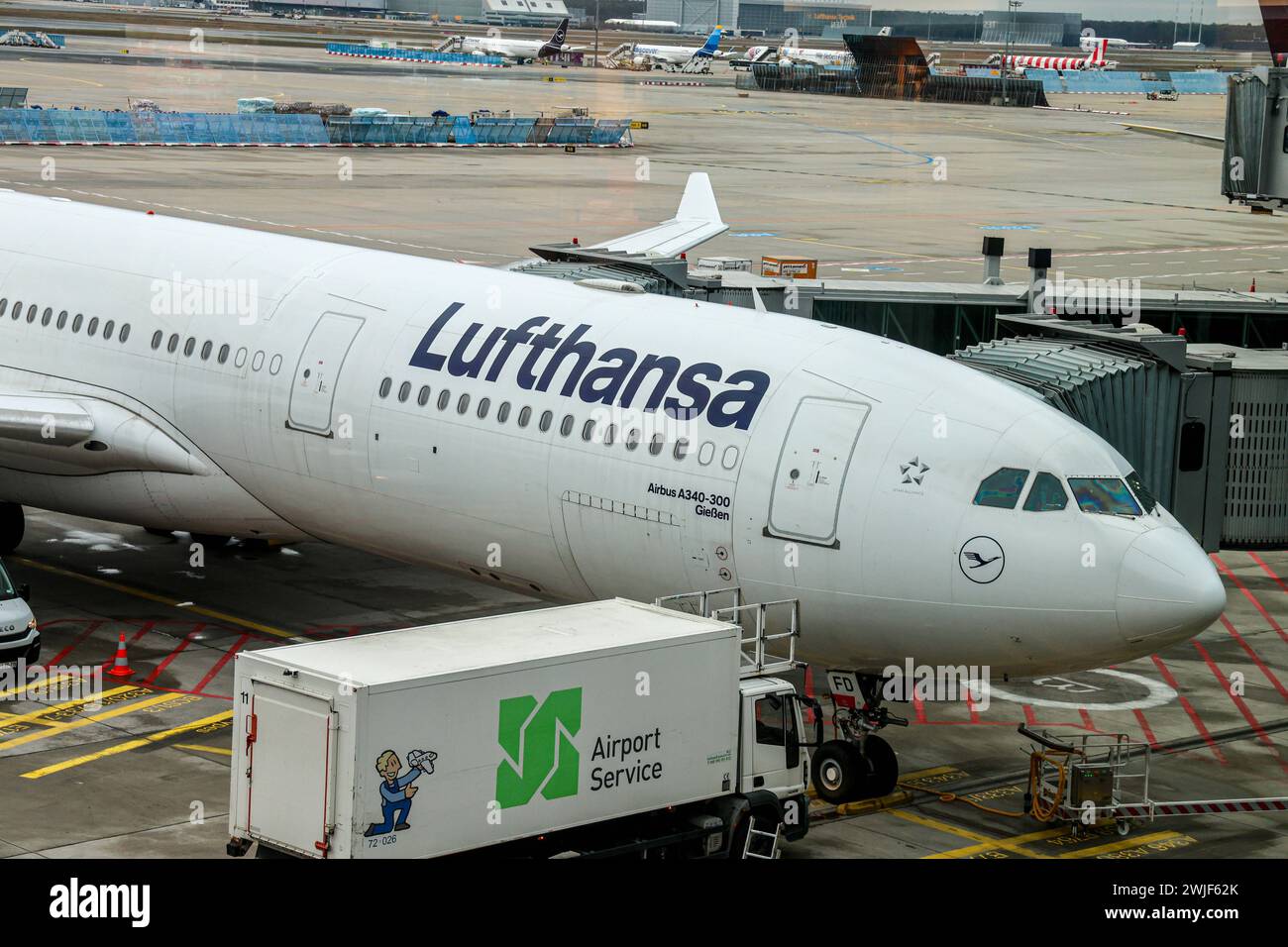 D-AIFD Lufthansa Airbus A340-313, Gießen, am Flughafen Frankfurt Main ...