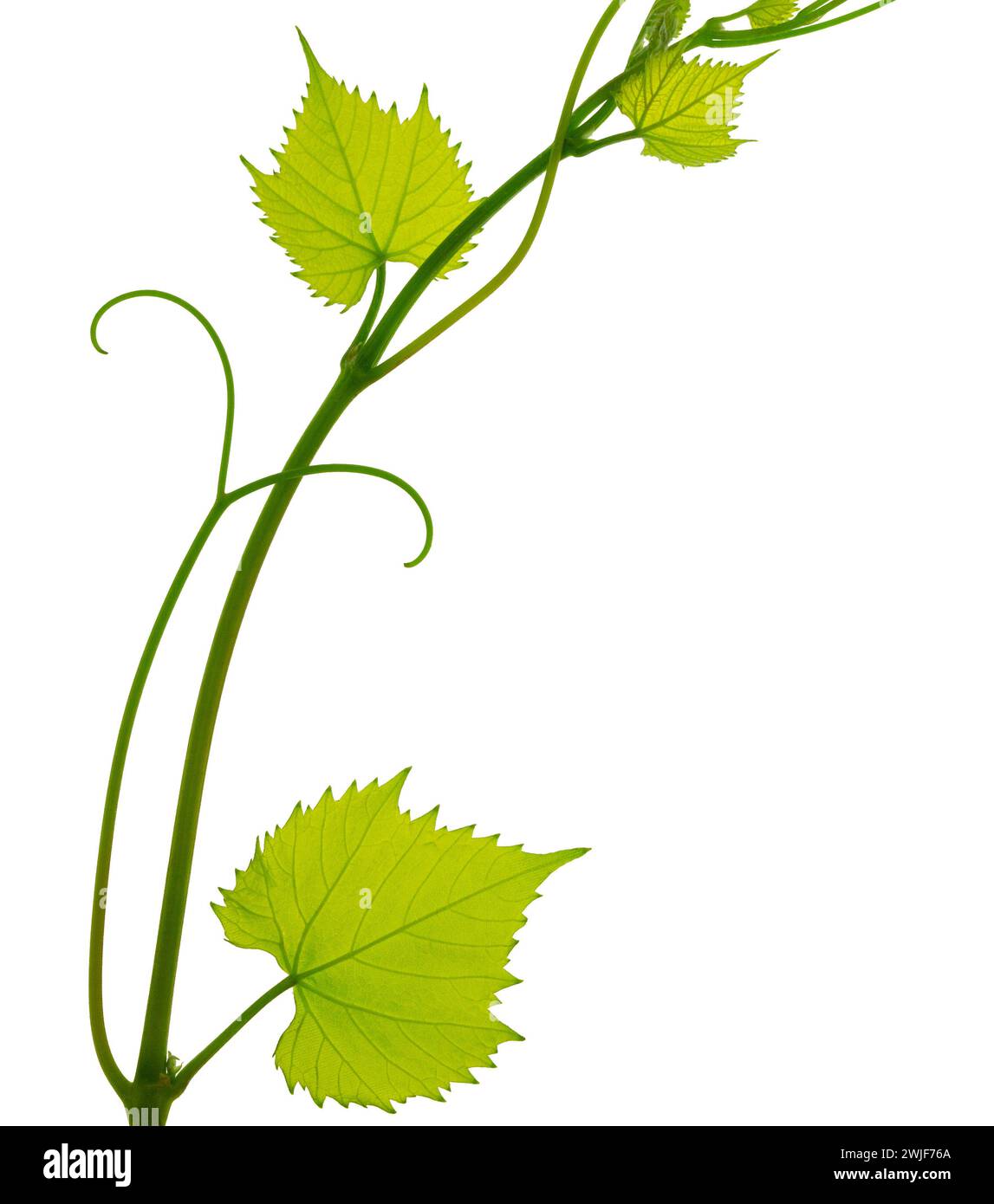 Parostok hi-res stock photography and images - Alamy