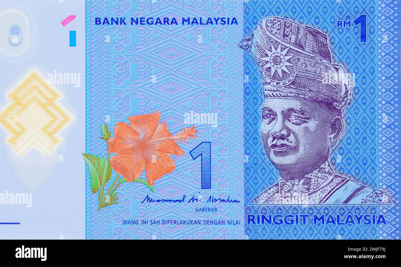 Bank Negara Malaysia denominations of one ringgit as cash national ...