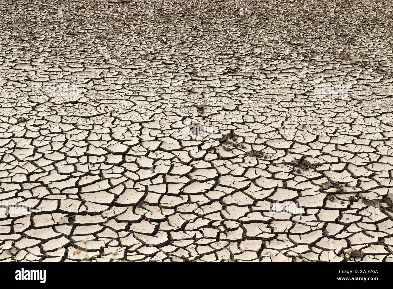 crack on dry land caused by drought Stock Photo - Alamy