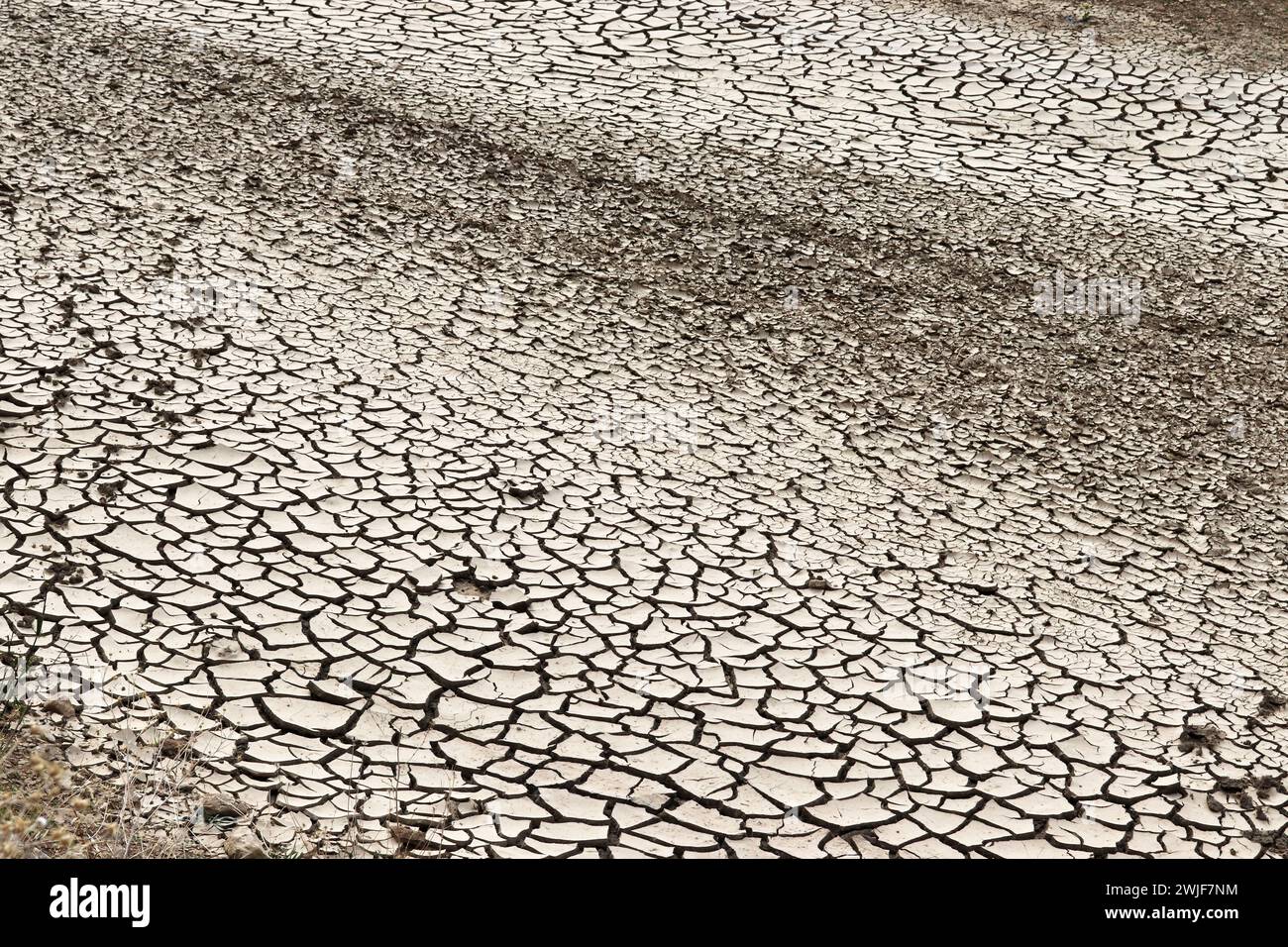 crack on dry land caused by drought Stock Photo - Alamy