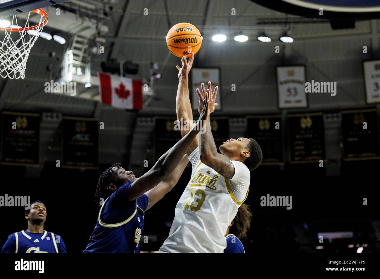 February 14, 2024: Notre Dame forward Tae Davis (13) goes up for a shot ...