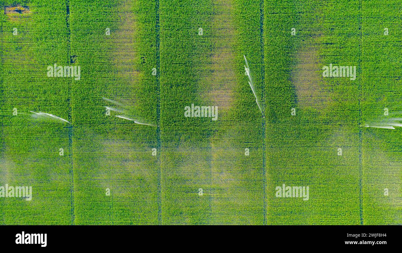 Above top view of irrigation system, water jet rain guns sprinklers, on ...