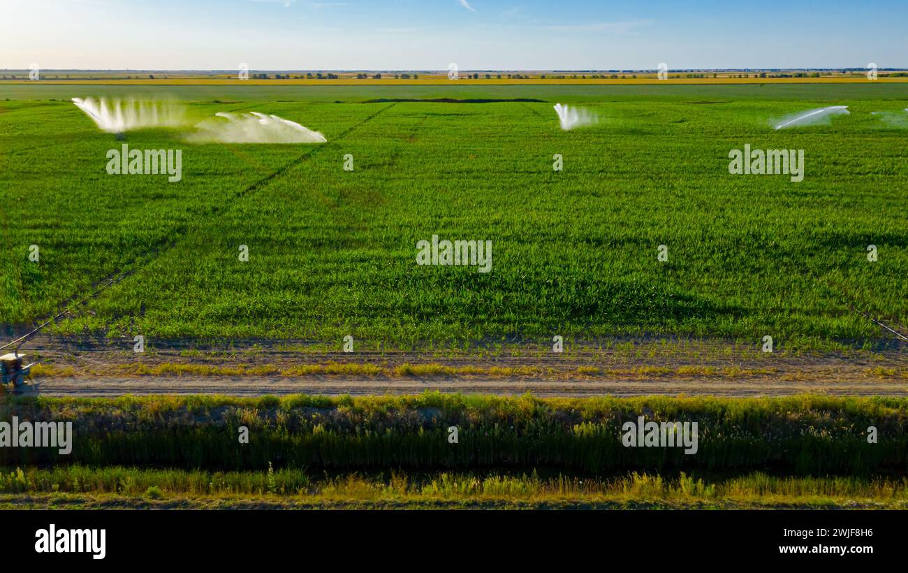 Above view of irrigation system, water jet rain guns sprinklers, on ...