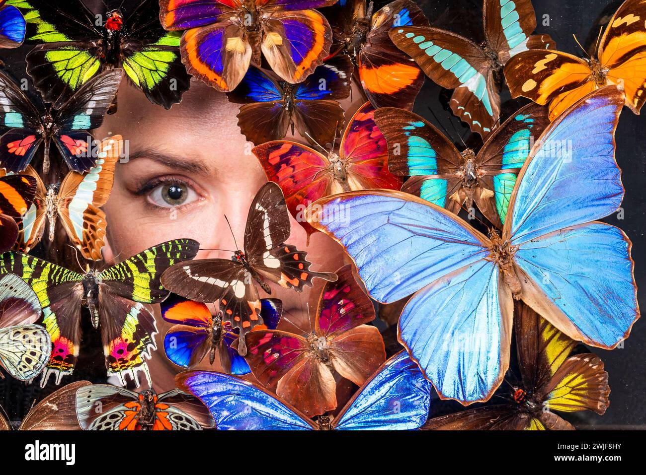 Archivist Errin Hussey with some of world's rarest and most beautiful ...