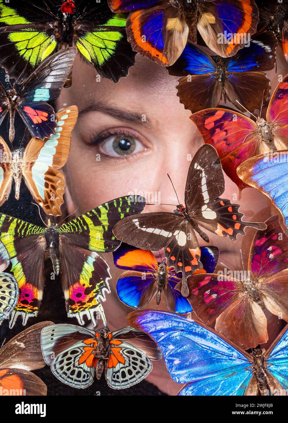 Archivist Errin Hussey with some of world's rarest and most beautiful ...