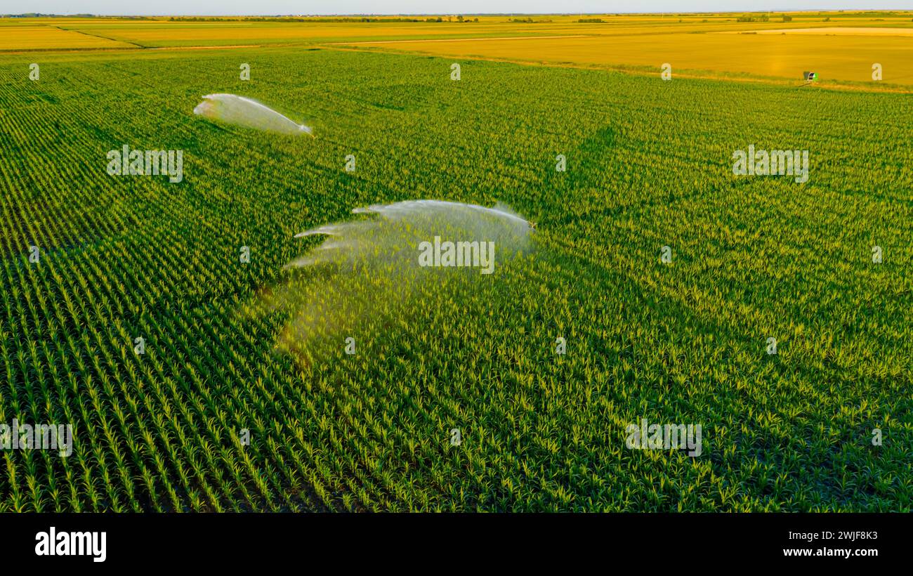 Above view of irrigation system, water jet rain guns sprinklers, on ...