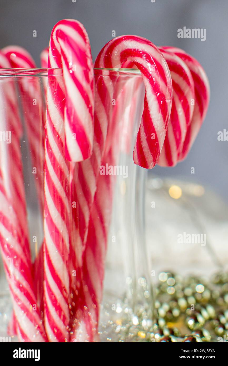Red and white caramel canes in a glass against the background of lights ...