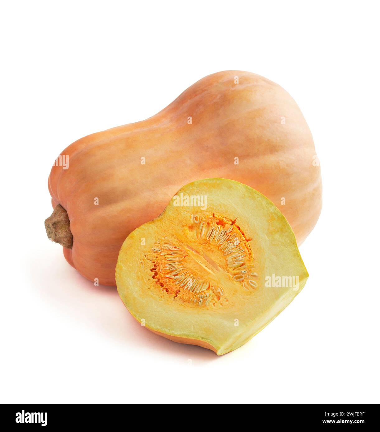 fresh orange pumpkins. autumn halloween. close-up oblong pumpkin, food ...