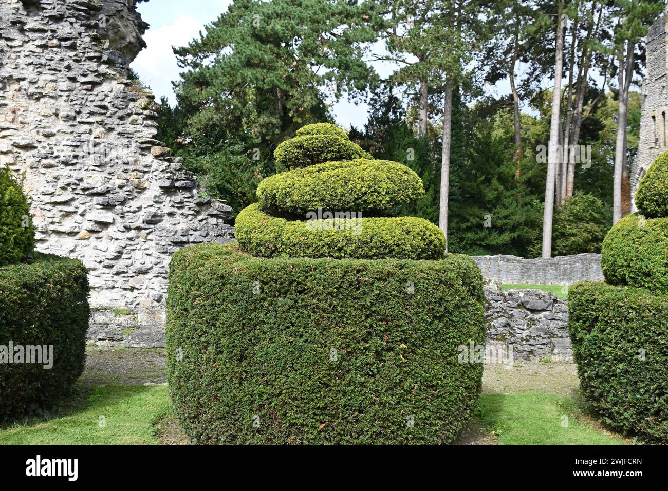 Yew topiary hi-res stock photography and images - Alamy