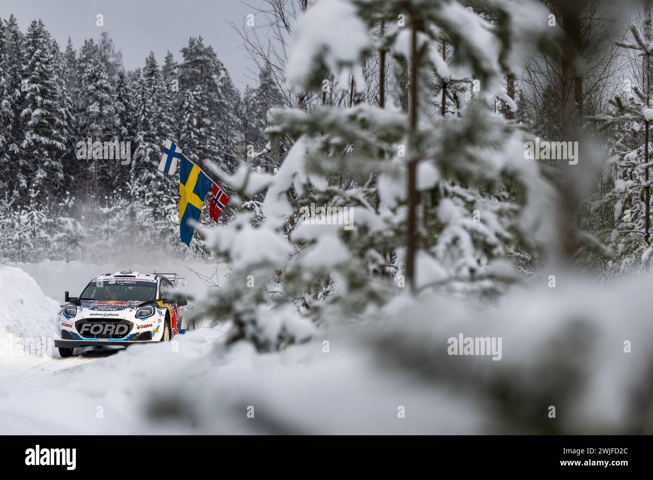 13 MUNSTER Gregoire, LOUKA Louis, Ford Puma Rally1, action during the ...