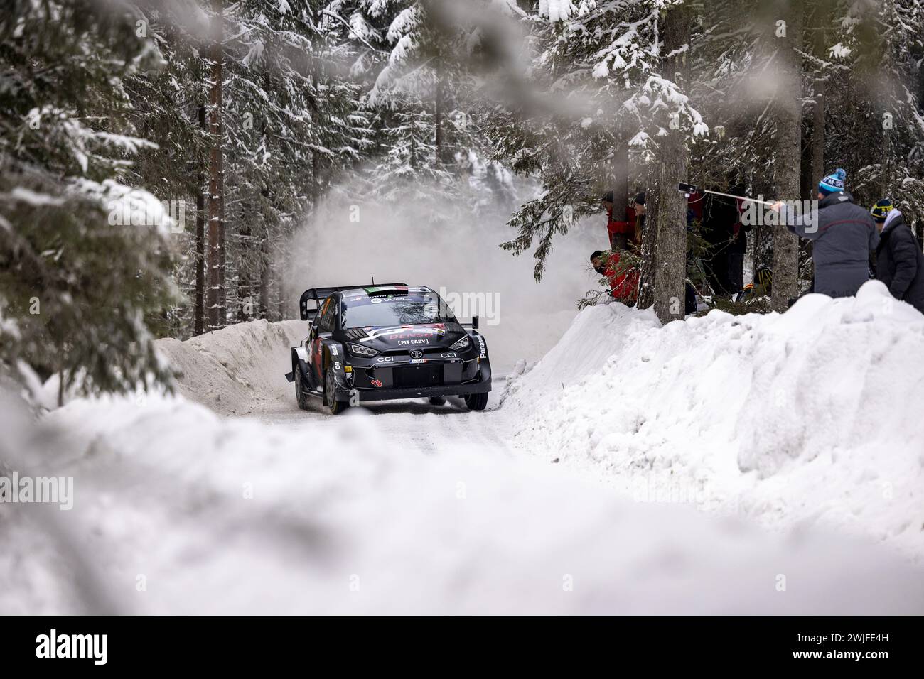 37 BERTELLI Lorenzo, SCATTOLIN Simone, Toyota GR Yaris Rally1, action ...