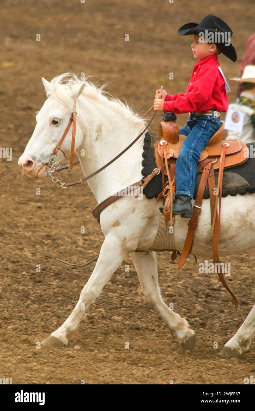 Cowboy riding, St Paul Junior Rodeo, St Paul, Oregon Stock Photo - Alamy