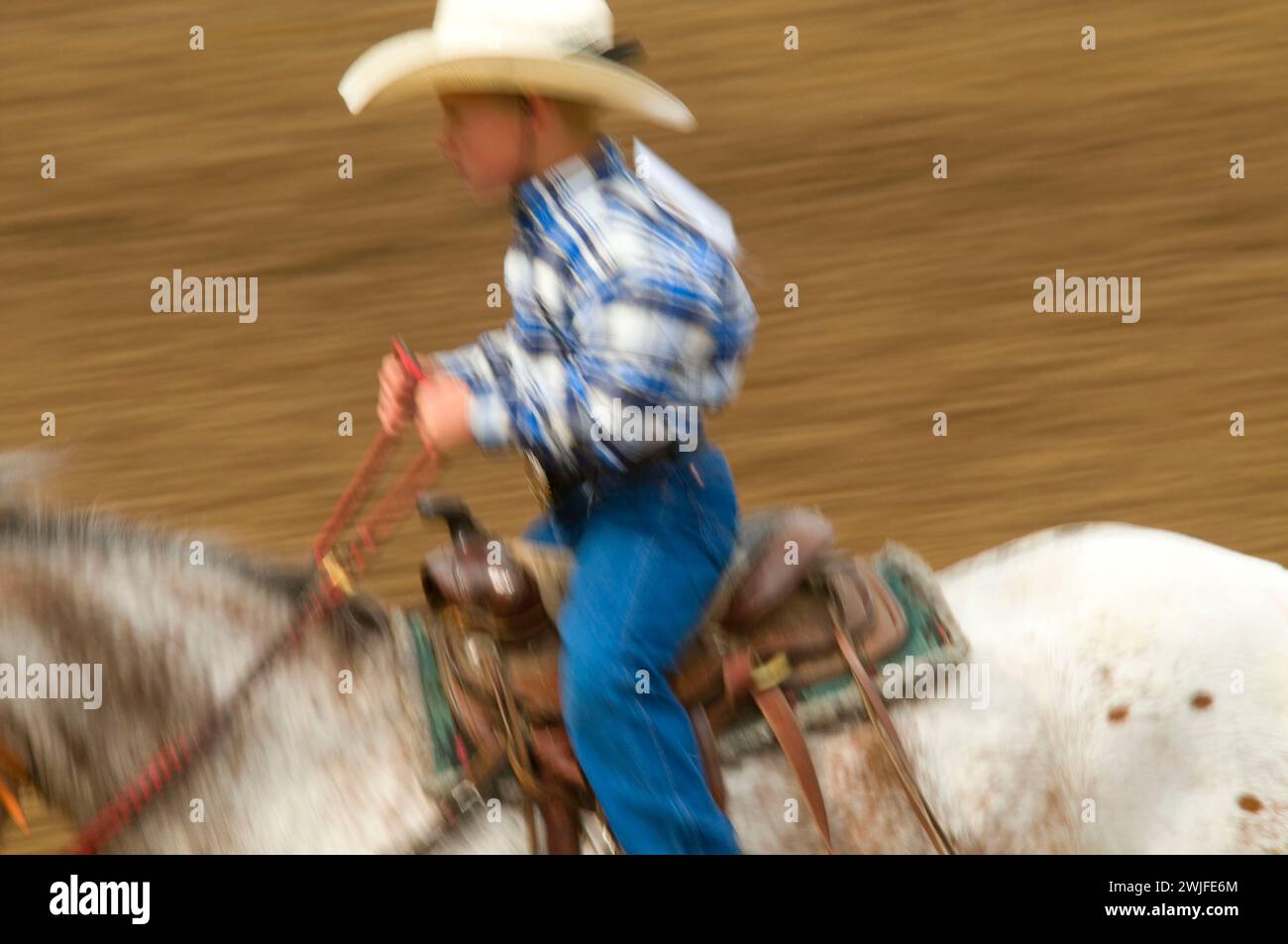 Cowboy riding, St Paul Junior Rodeo, St Paul, Oregon Stock Photo - Alamy