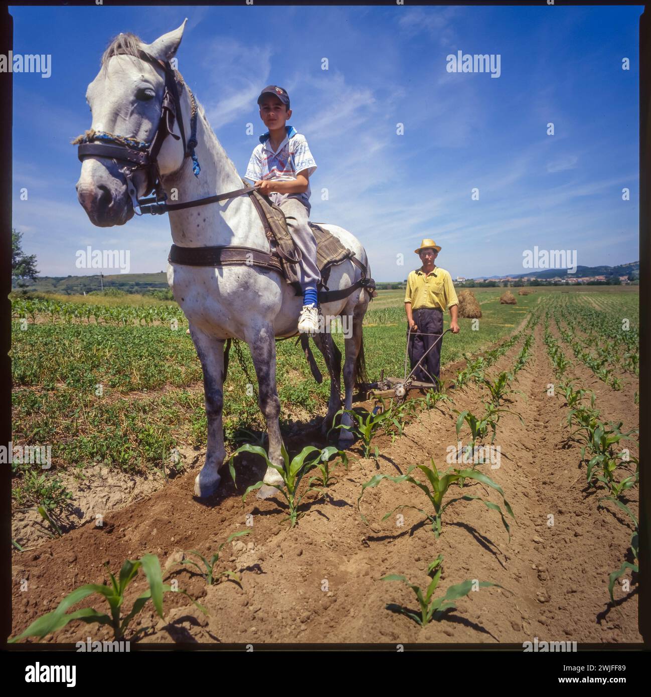 Farmer hand plowing field hi-res stock photography and images - Alamy