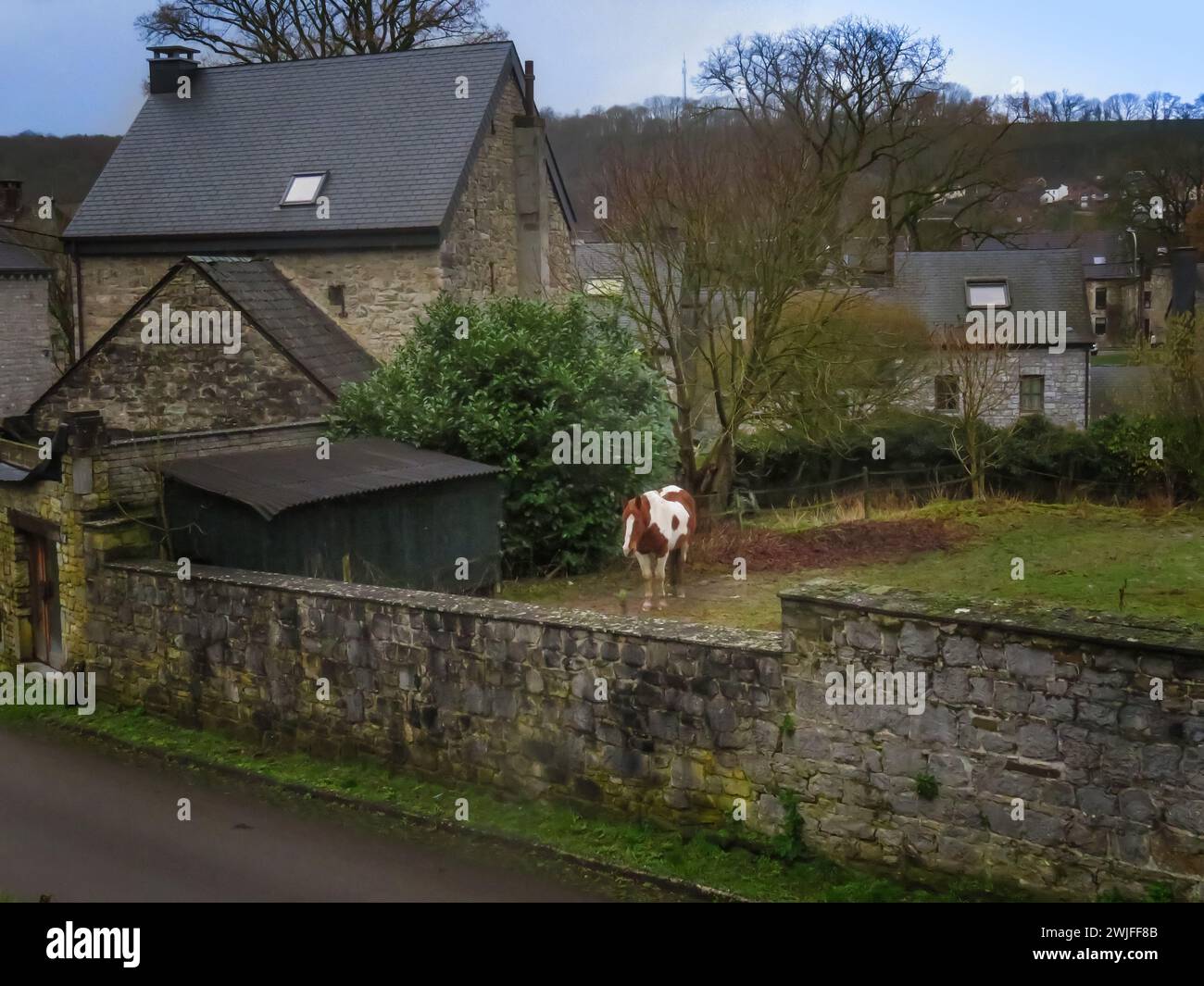 Belgium, horse in village Hamoir in the Ardennes Stock Photo - Alamy