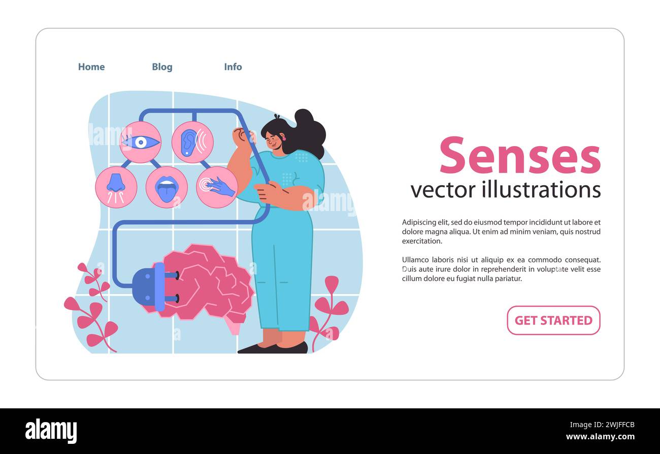 Senses concept illustration. A visual exploration of the five senses connected to brain function ...