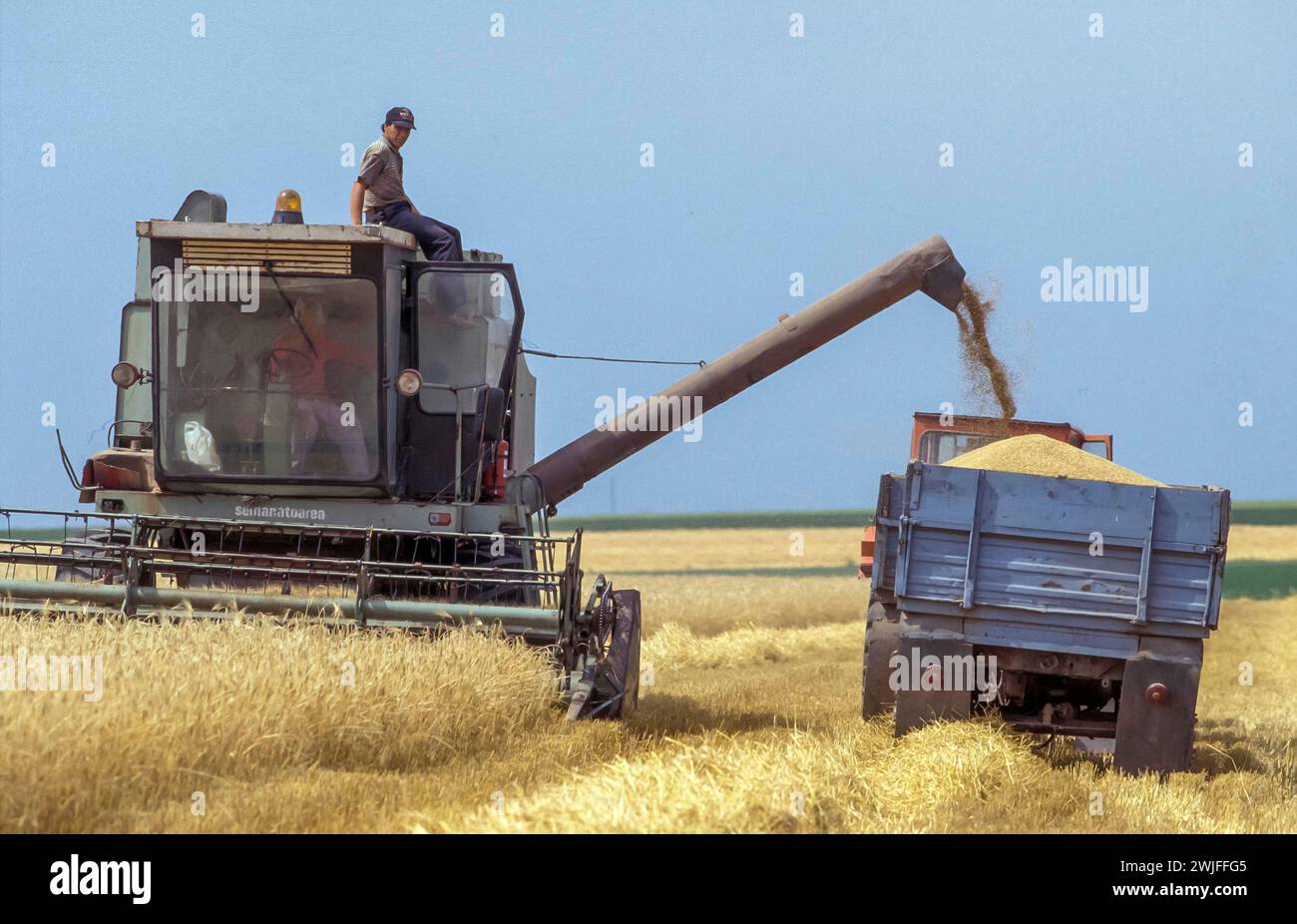 Romania, Tulcea, mechanical harvesting of grain, with a combine ...