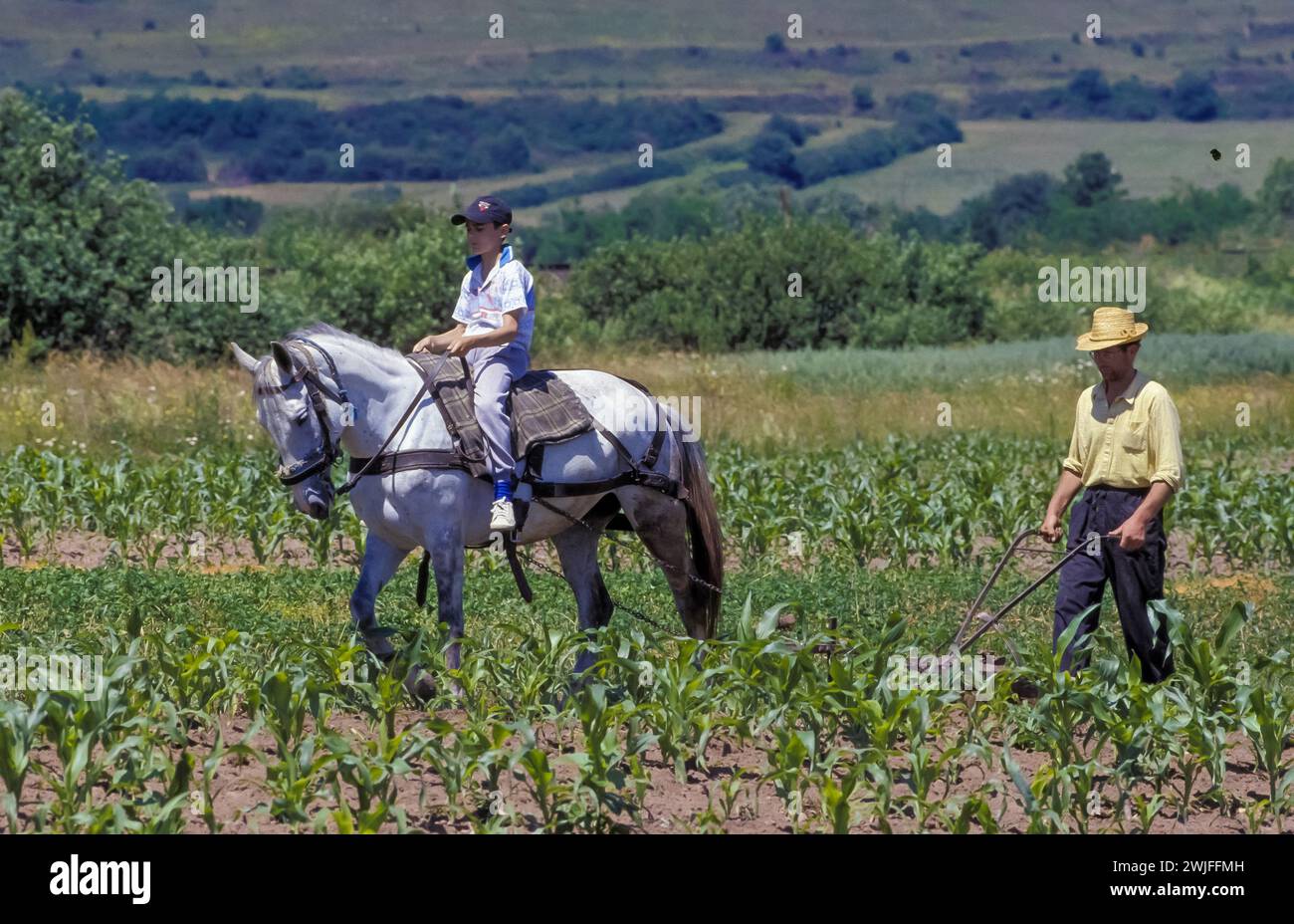 Farmer hand plowing field hi-res stock photography and images - Alamy