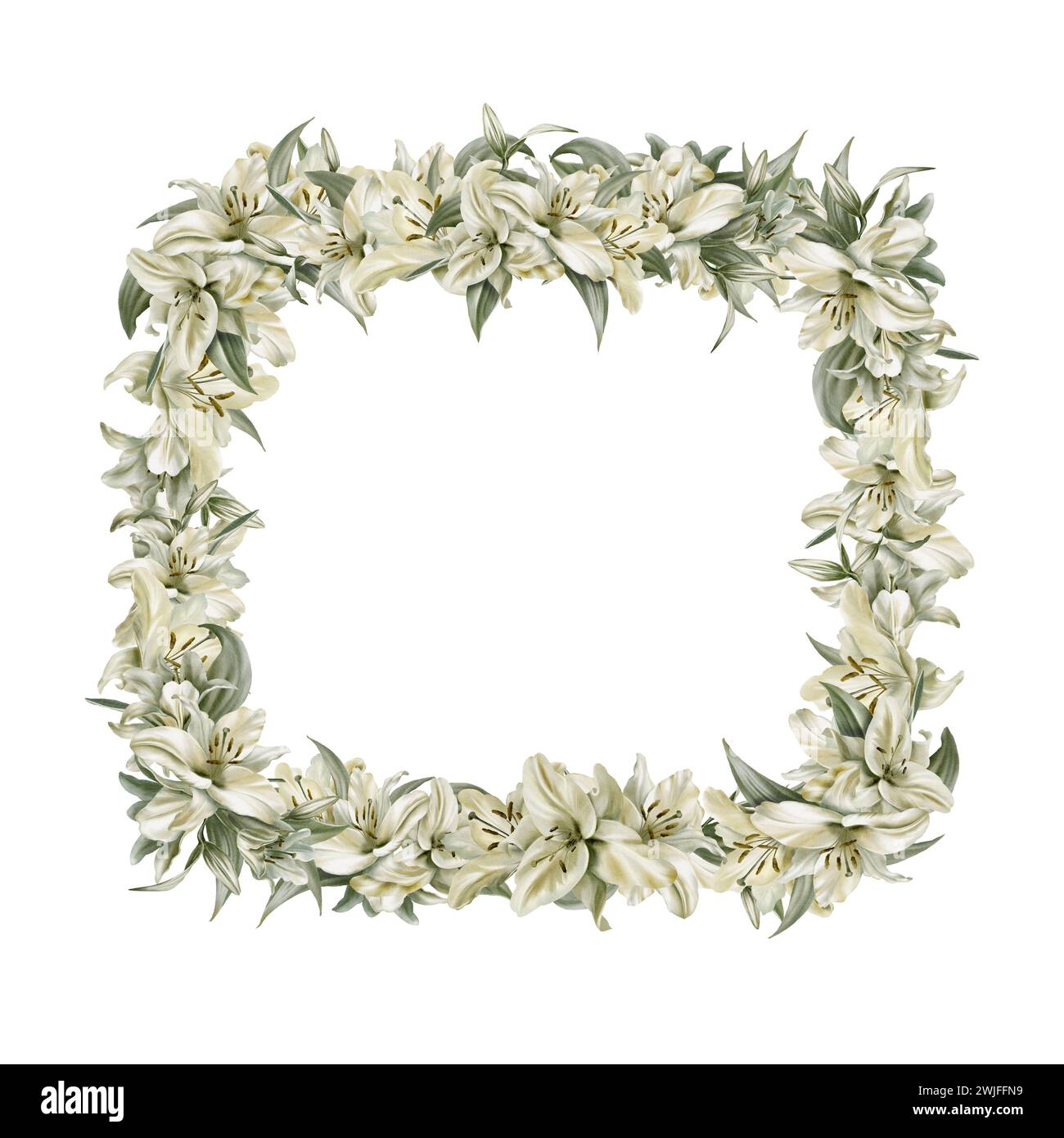 Watercolor floral frame of white lilies isolated on white background ...