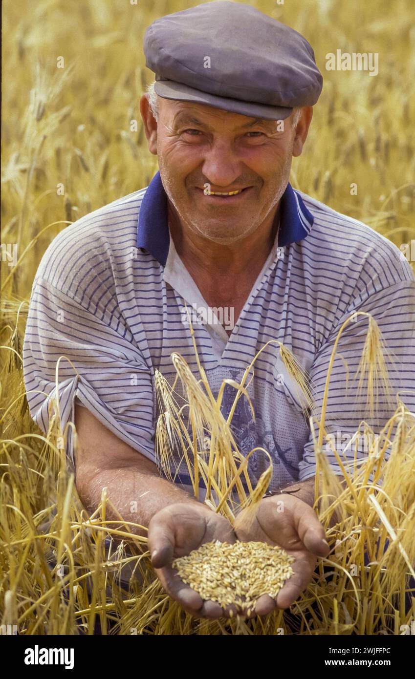 Farmer romania wheat hi-res stock photography and images - Alamy