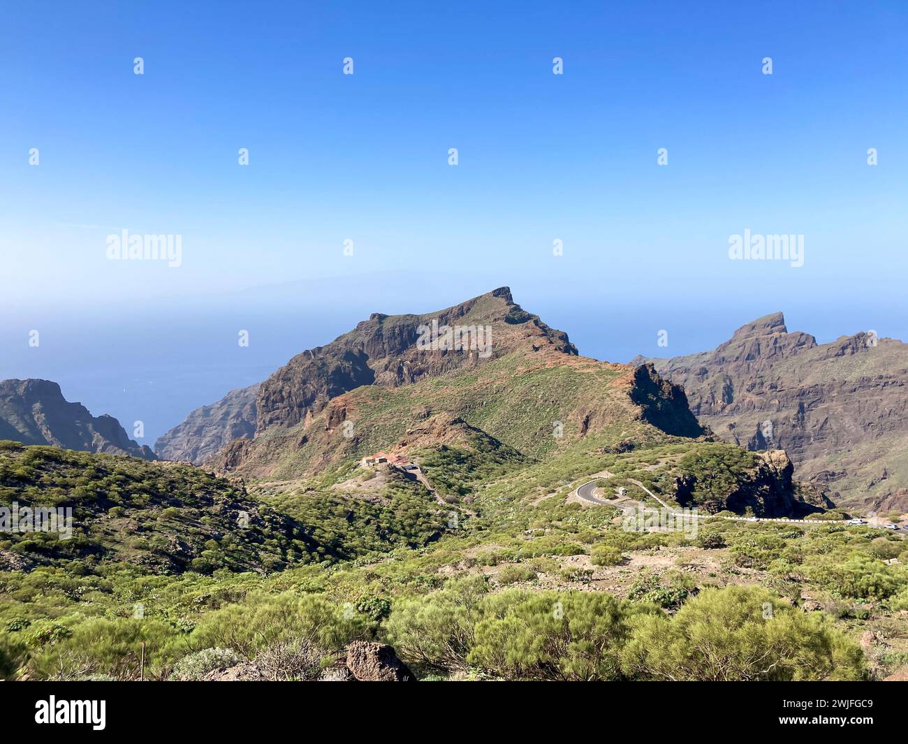 Beautiful scenery of mountains with cacti and palms around the road to ...