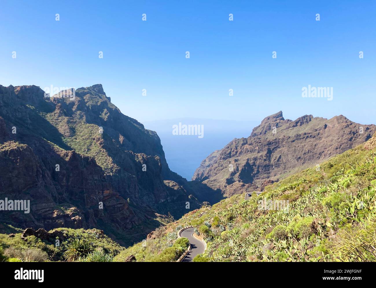 Beautiful scenery of mountains with cacti and palms around the road to ...