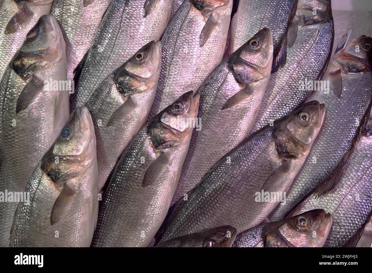Edible fish hi-res stock photography and images - Alamy
