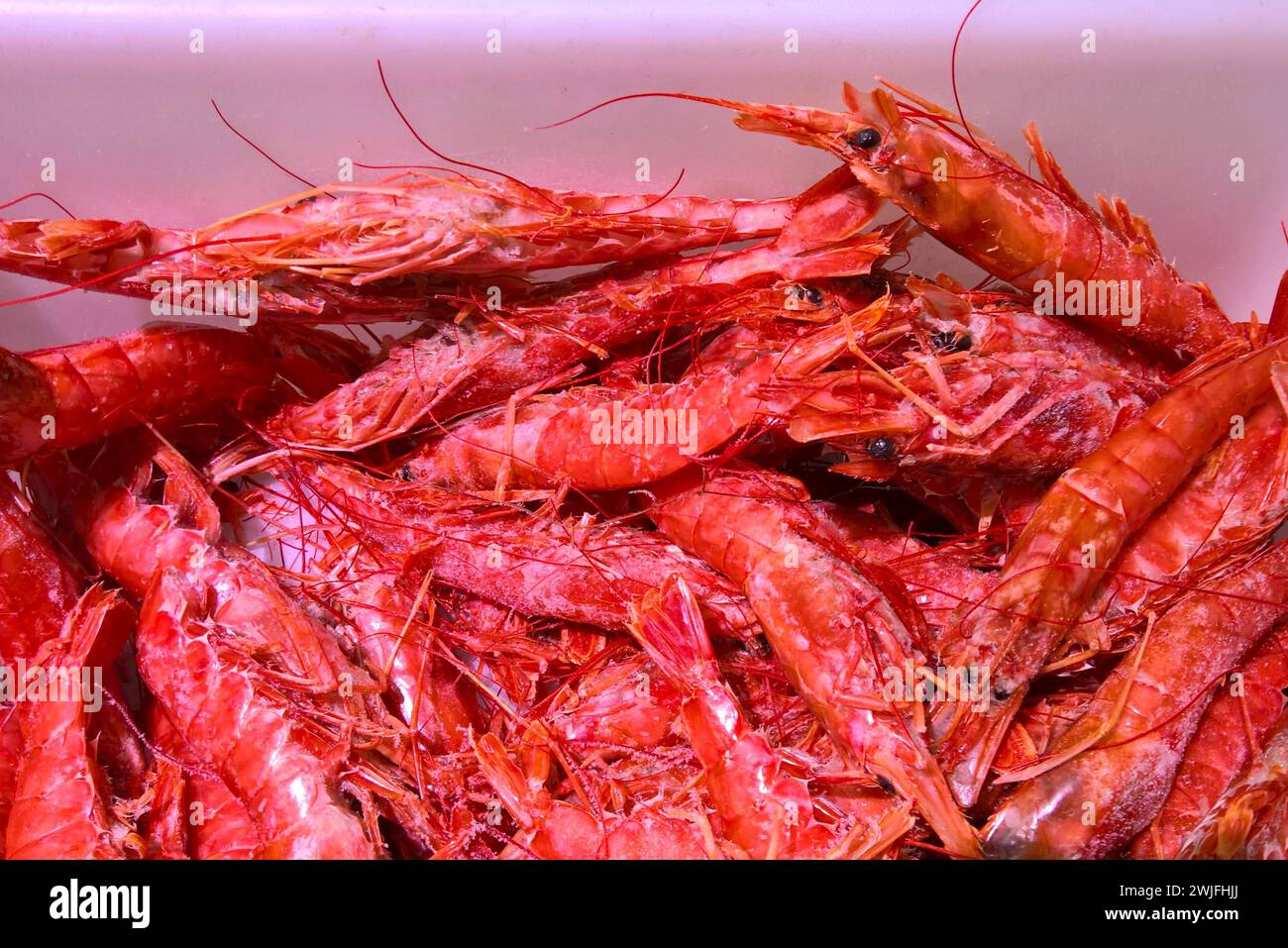 Krebstiere, Garnele bzw Garnelen im Fischmarkt. Als Garnelen werden ...