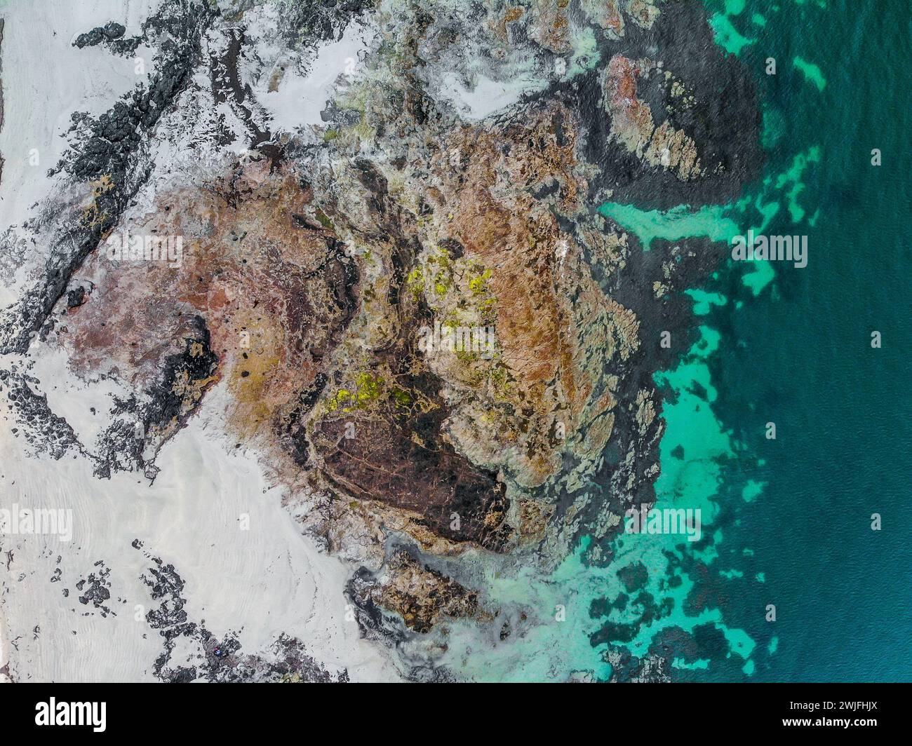 Rocky shore with white rocks bordering a serene body of water: Flinders ...