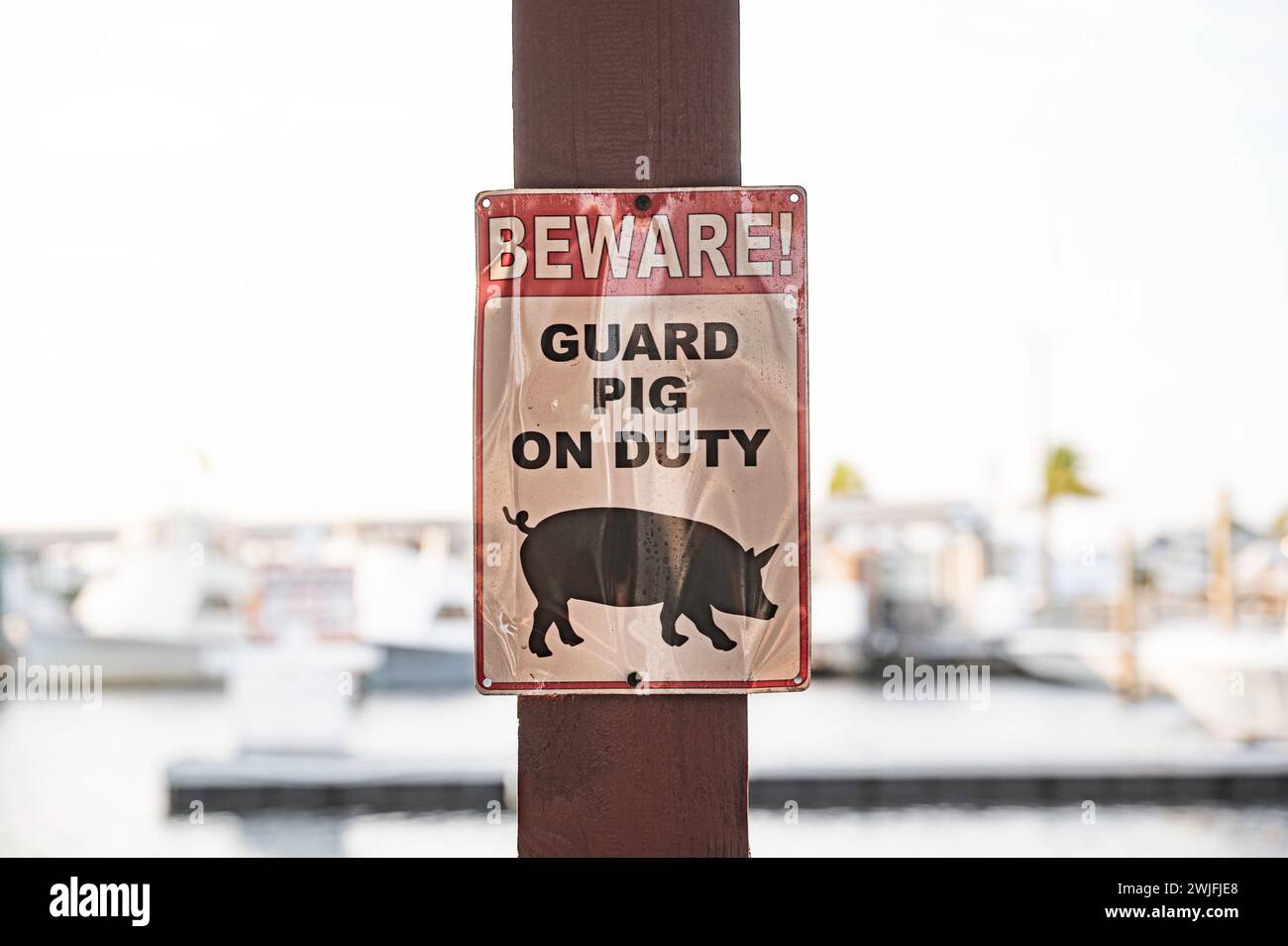 Security guard duty hi-res stock photography and images - Alamy