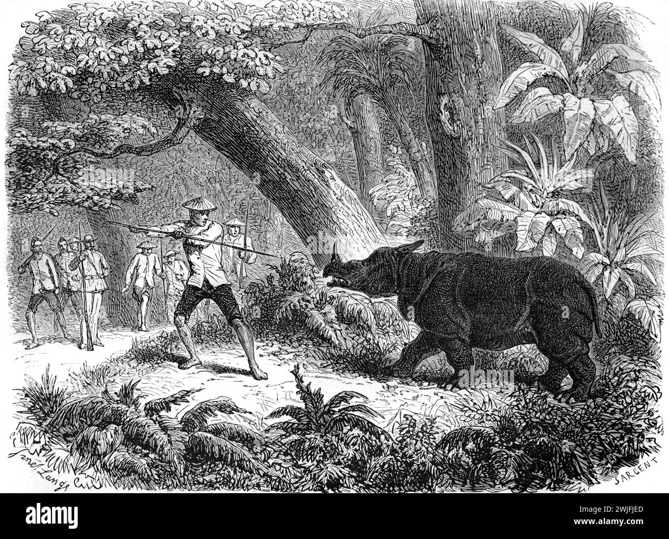 Rhino sondaicus hi-res stock photography and images - Alamy