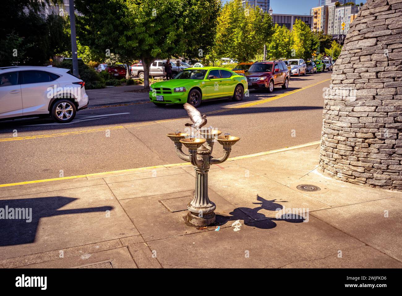 Portland, Oregon, USA - Pigeon landing on a water fountain Stock Photo ...