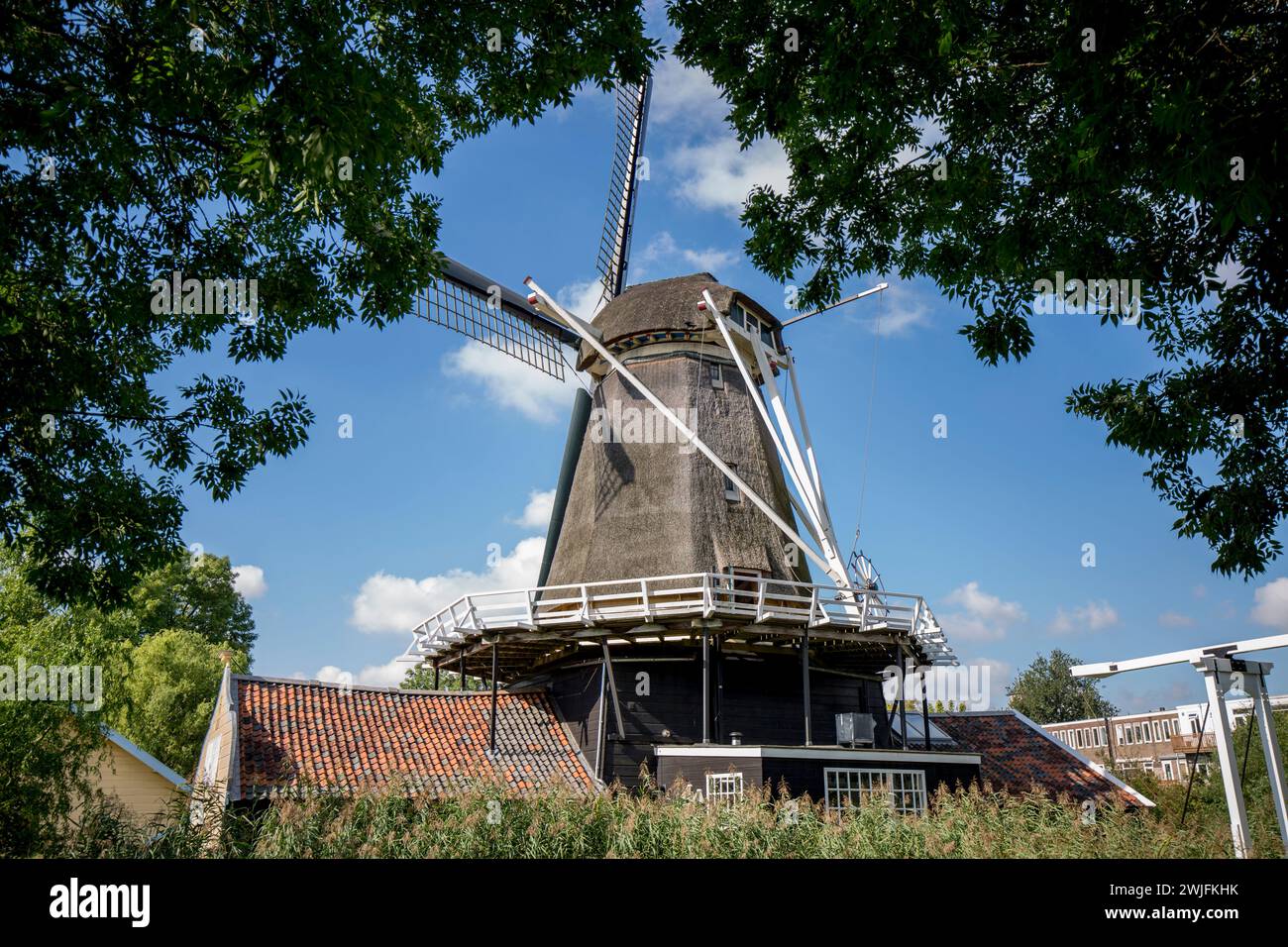 Windmill framed by overhanging foliage in Utrecht Stock Photo - Alamy