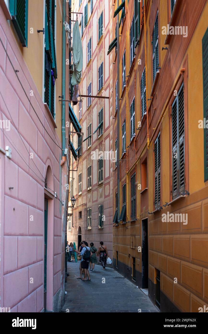 in the narrow streets of liguria Stock Photo - Alamy