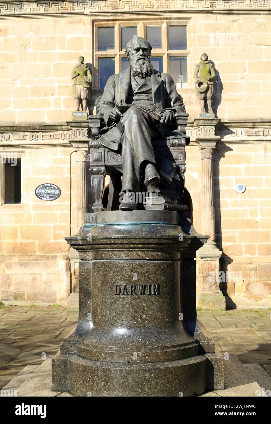 Charles Darwin statue outside the council building, Shrewsbury ...
