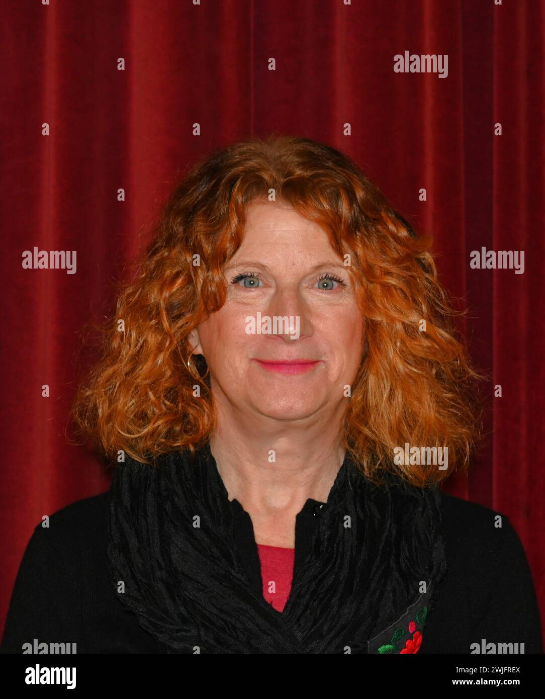 Calamaro gigante hi-res stock photography and images - Alamy