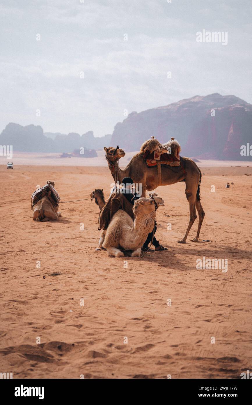 Philippines and jordan hi-res stock photography and images - Alamy
