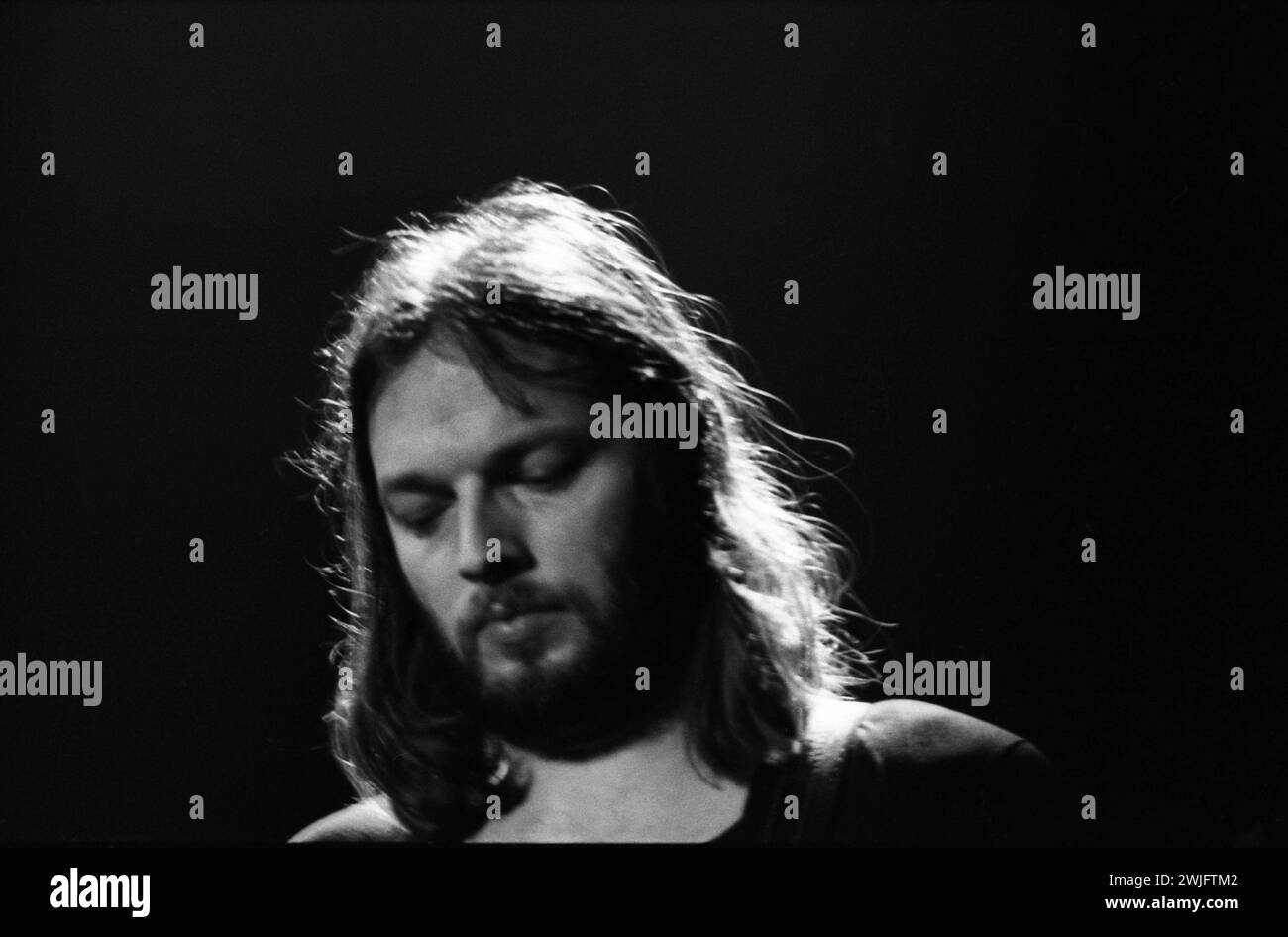 1977 2011 Black and White Stock Photos & Images - Alamy