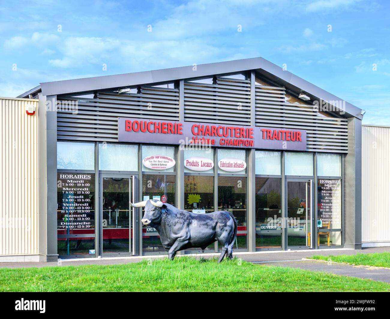 Modern butcher's shop with life-size model of black bull on display ...