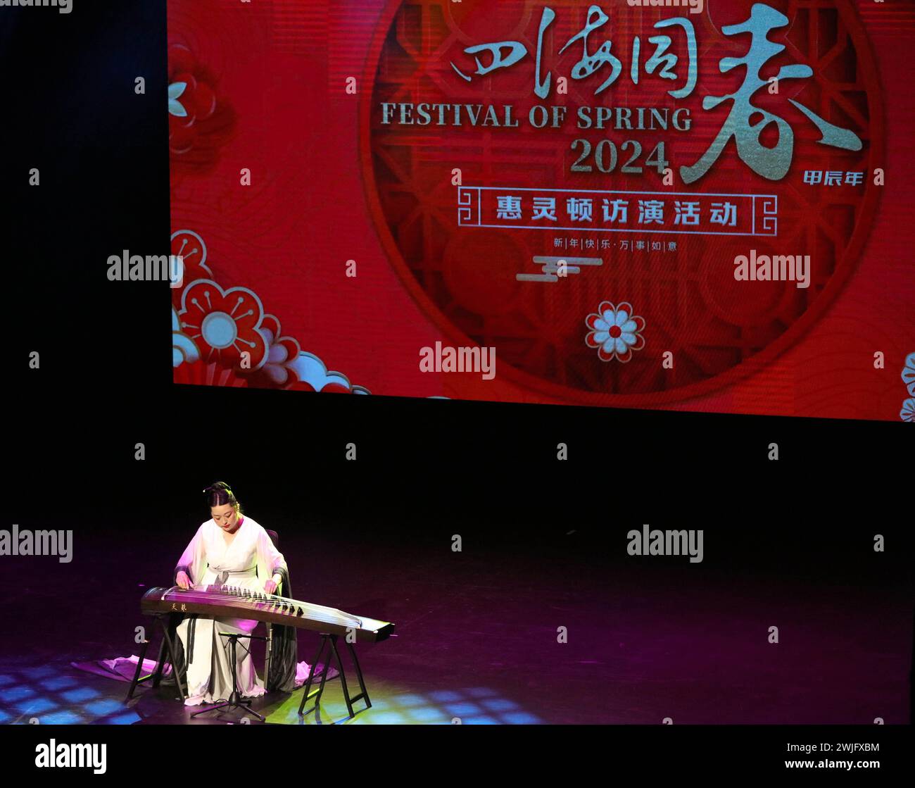 Wellington, New Zealand. 15th Feb, 2024. A musician performs during the ...