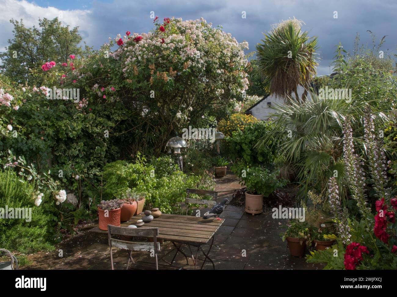 British back garden hi-res stock photography and images - Alamy