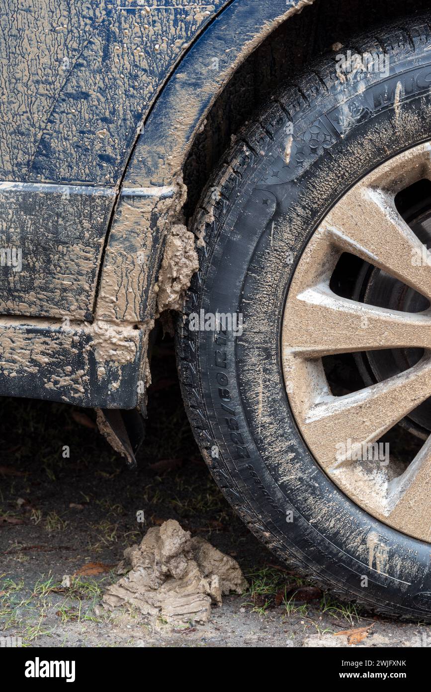 Wet muddy area hi-res stock photography and images - Alamy