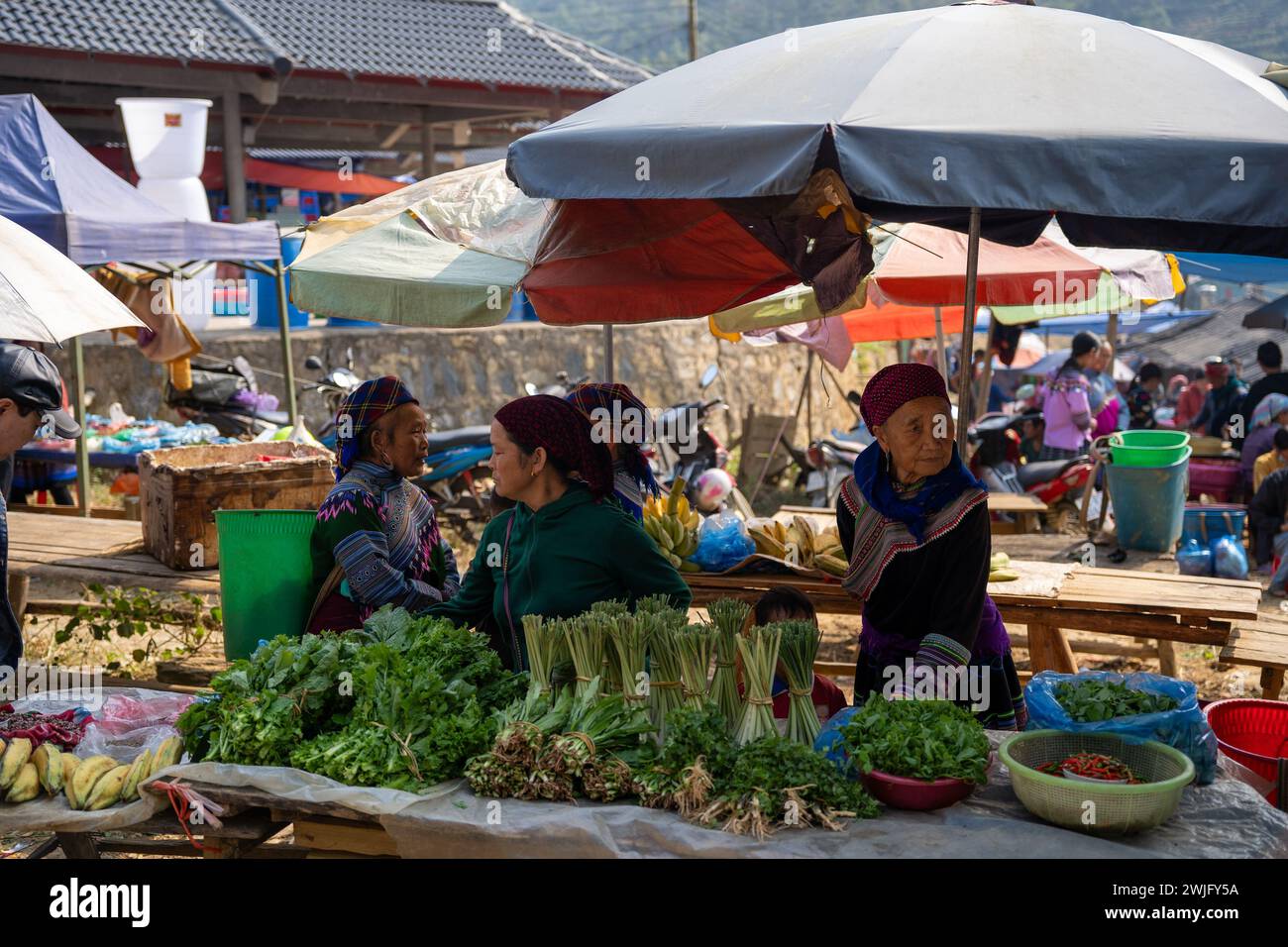 A series of pictures of people from Southeast Asia and Jordan Stock ...