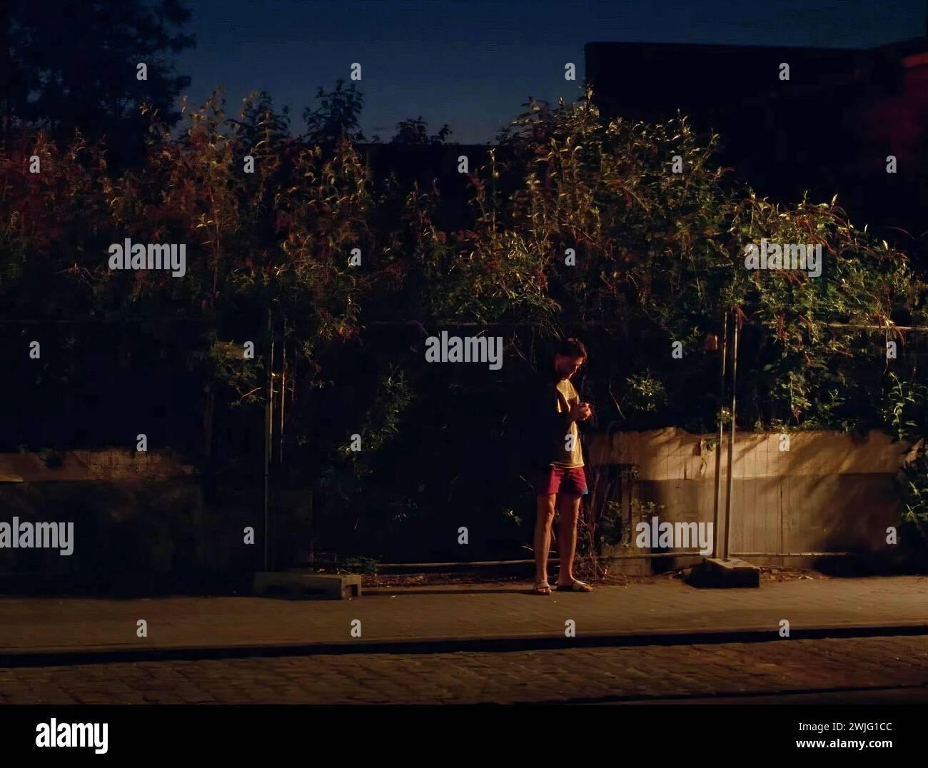 HERE, Stefan Gota, 2023. © Cinema Guild / Courtesy Everett Collection ...