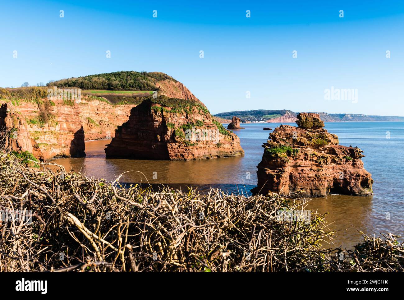 Ladram Bay in Devon Stock Photo - Alamy