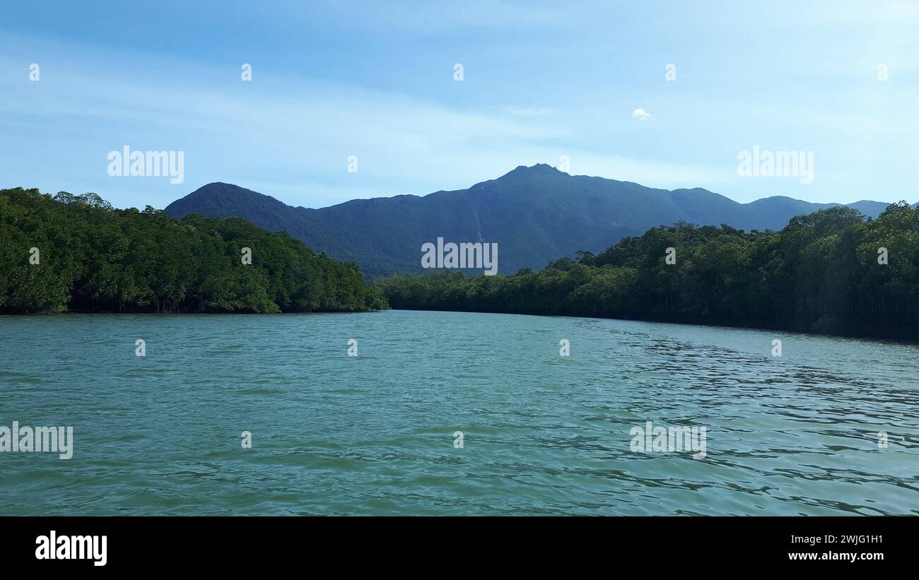 Cooper Creek in the Daintree Rainforest Stock Photo - Alamy