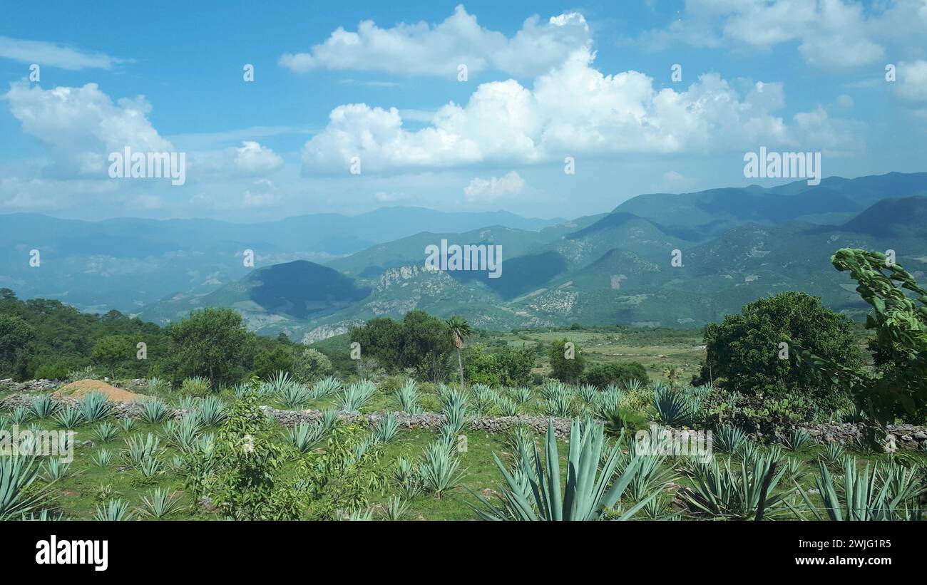 Countryside of mexico hi-res stock photography and images - Alamy