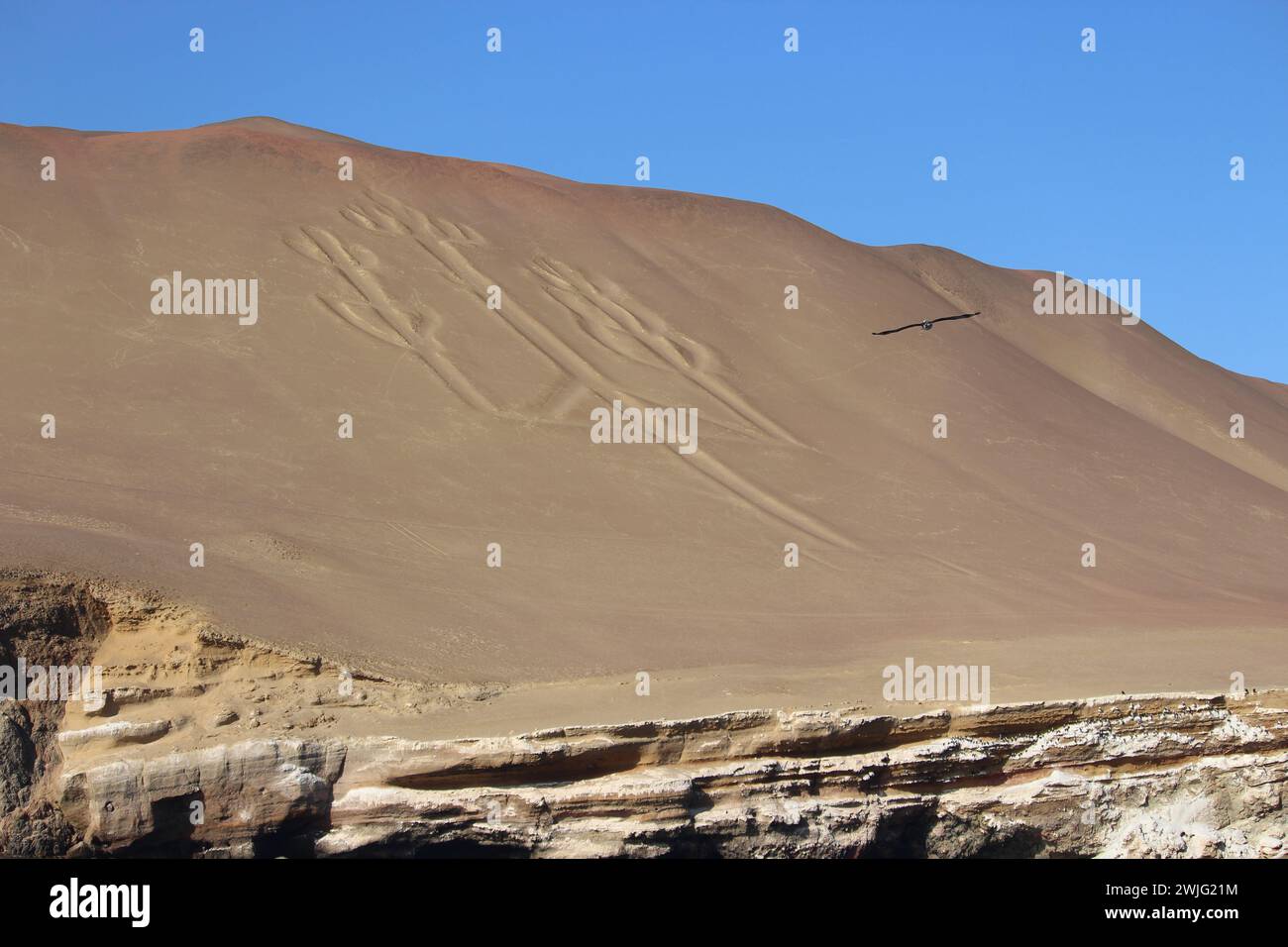 Candelabra glyph on a dune in Paracas National Park, taken from a boat ...